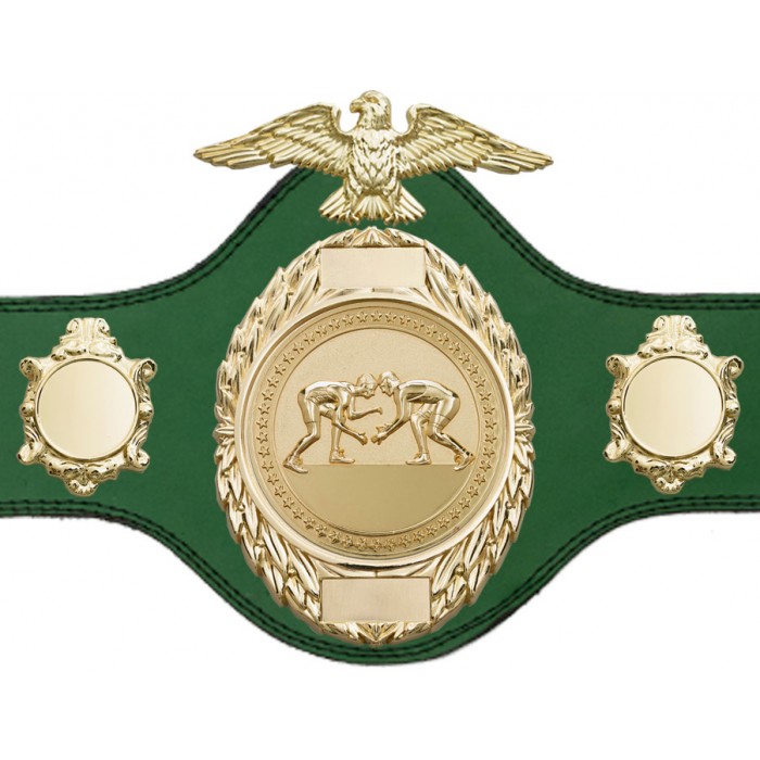 GRAPPLING CHAMPIONSHIP BELT-PLT288/G/GRAPG-4 COLOURS